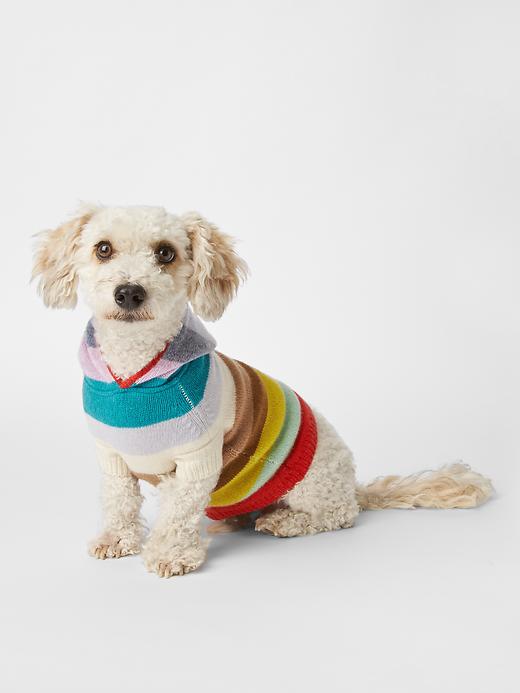 Holiday stripe dog sweater | Gap