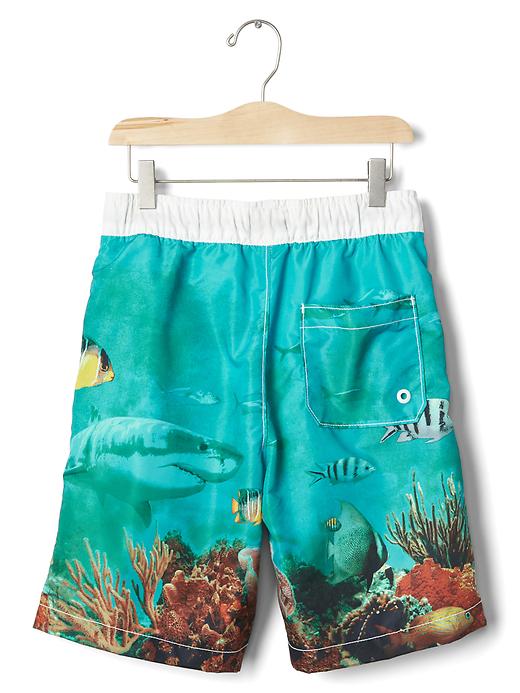Shark reef swim trunks | Gap
