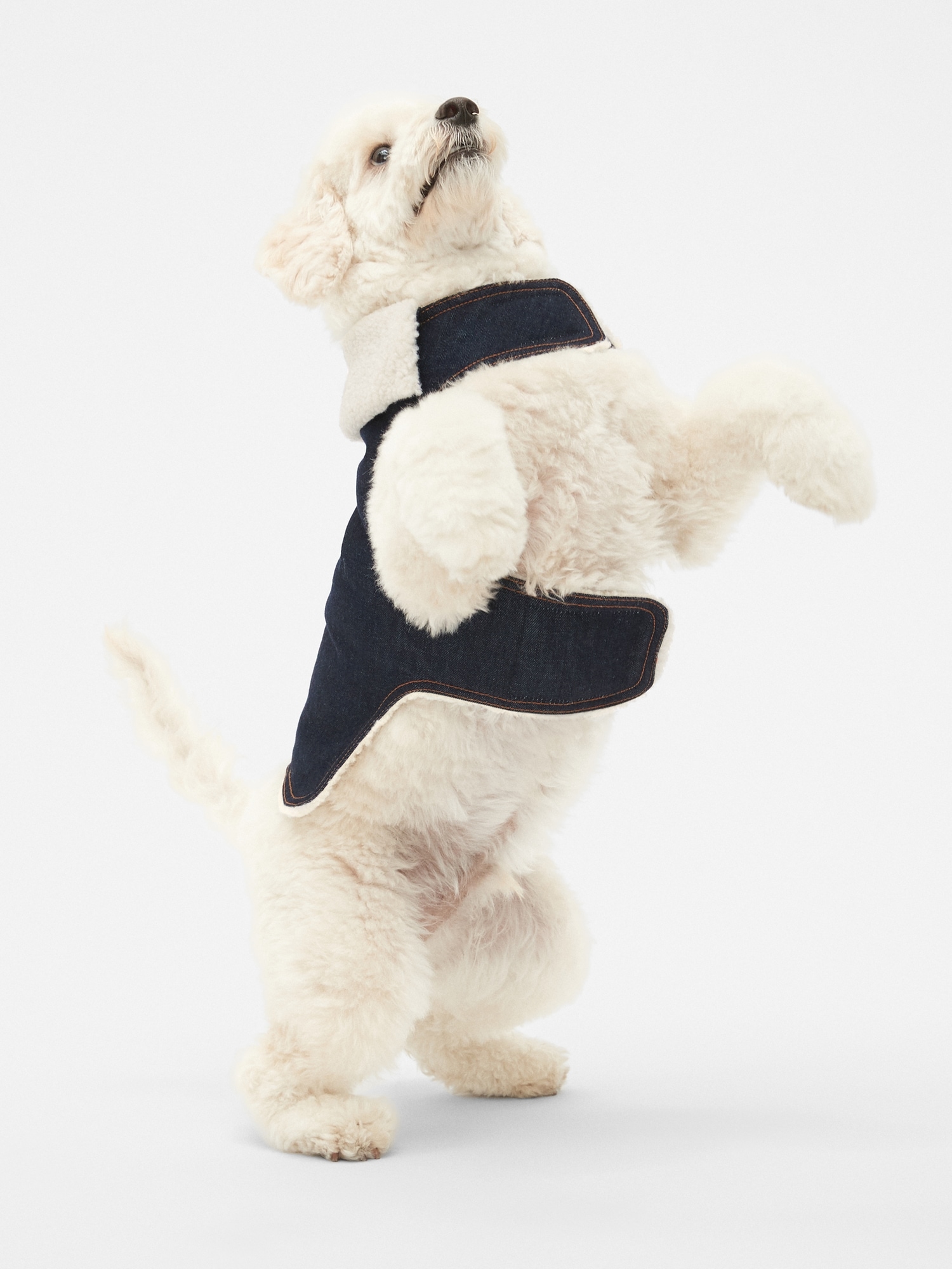 Sherpa-Lined Denim Dog Jacket | Gap