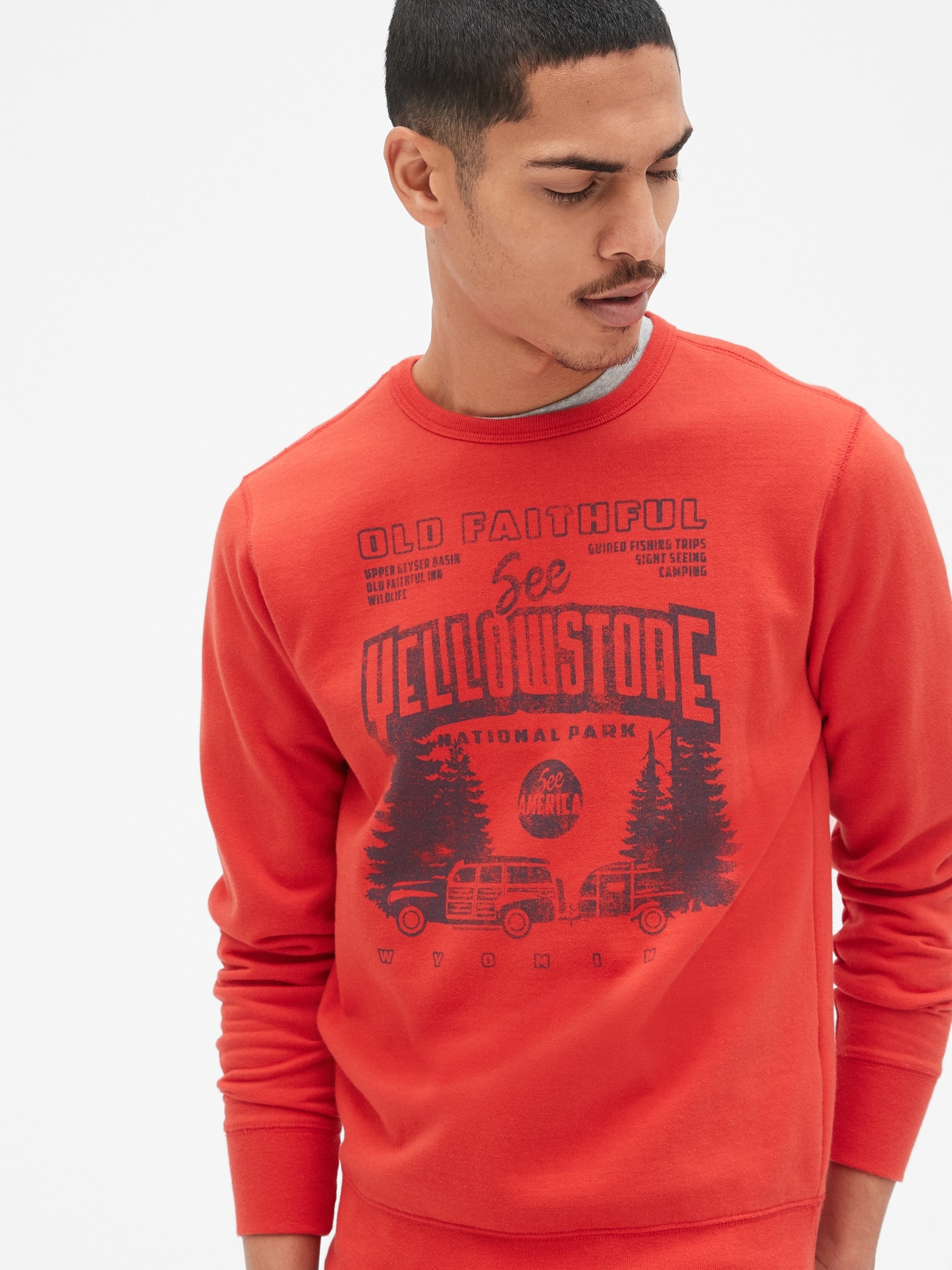 Graphic Crewneck Pullover Sweatshirt | Gap
