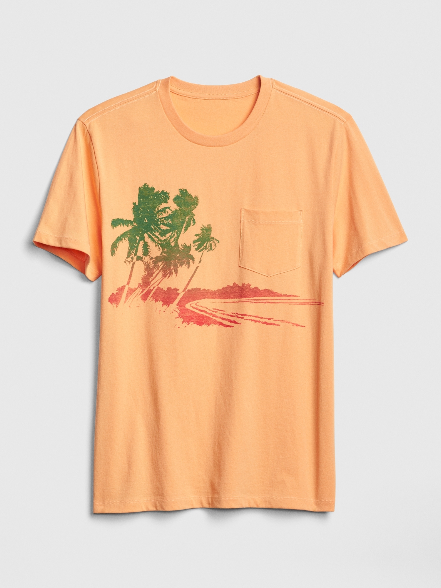 Graphic Pocket T-Shirt | Gap