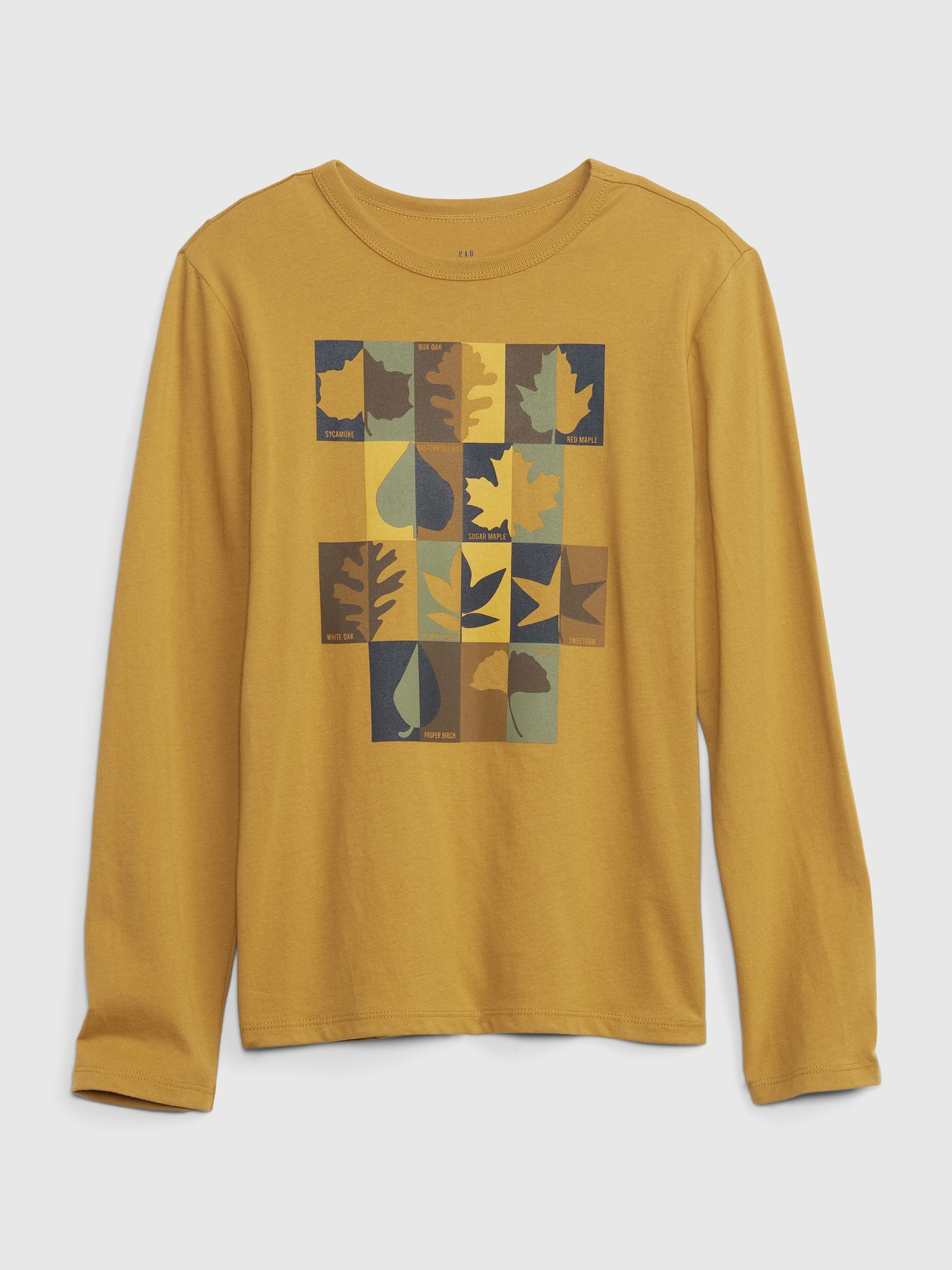 Kids Long Sleeve Graphic T-Shirt | Gap