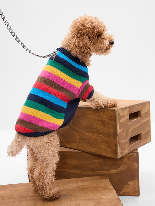 Happy Stripe Dog Sweater | Gap