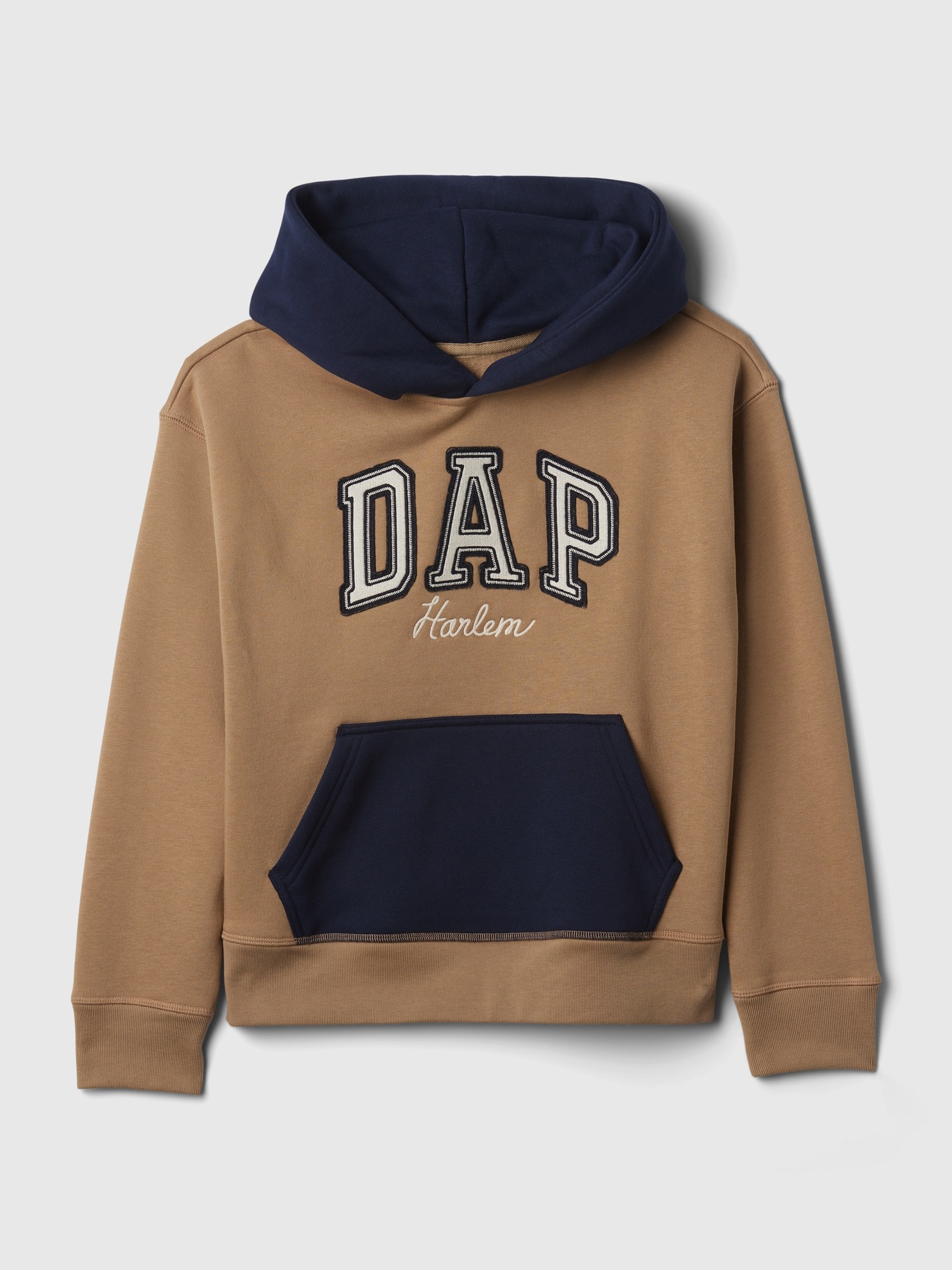 GAP × DAP Kids Colorblock Logo Hoodie | Gap