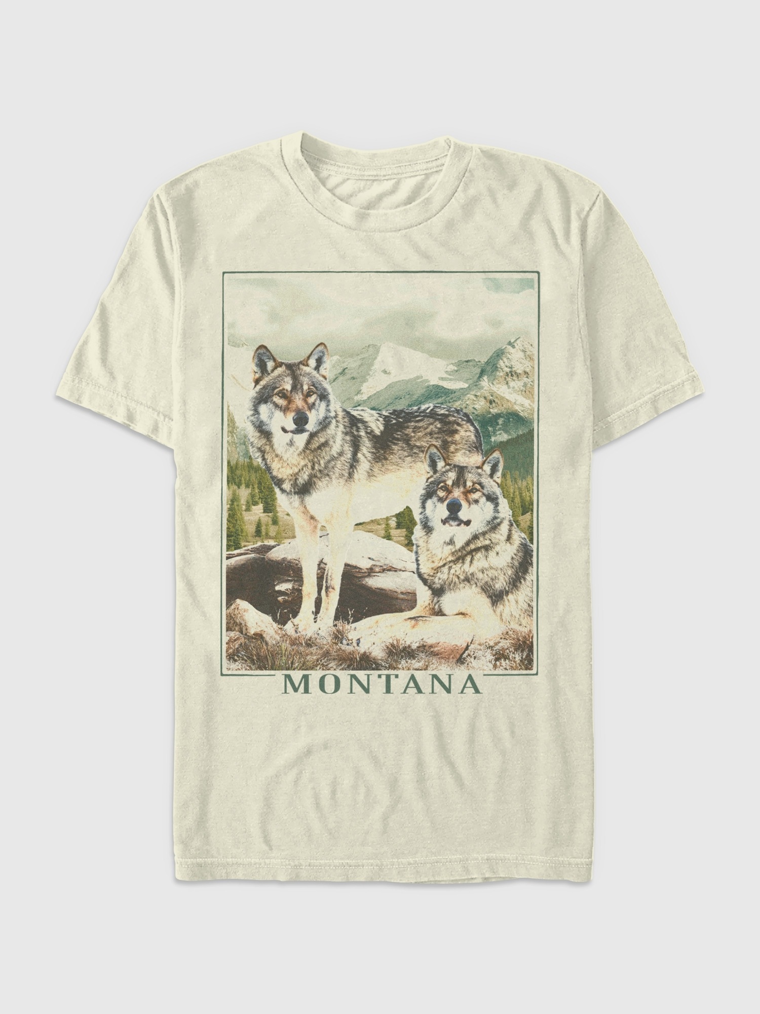 Montana Wolves Graphic Tee | Gap