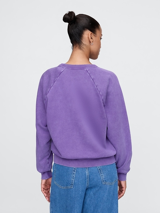 Vintage Soft Raglan Sweatshirt | Gap