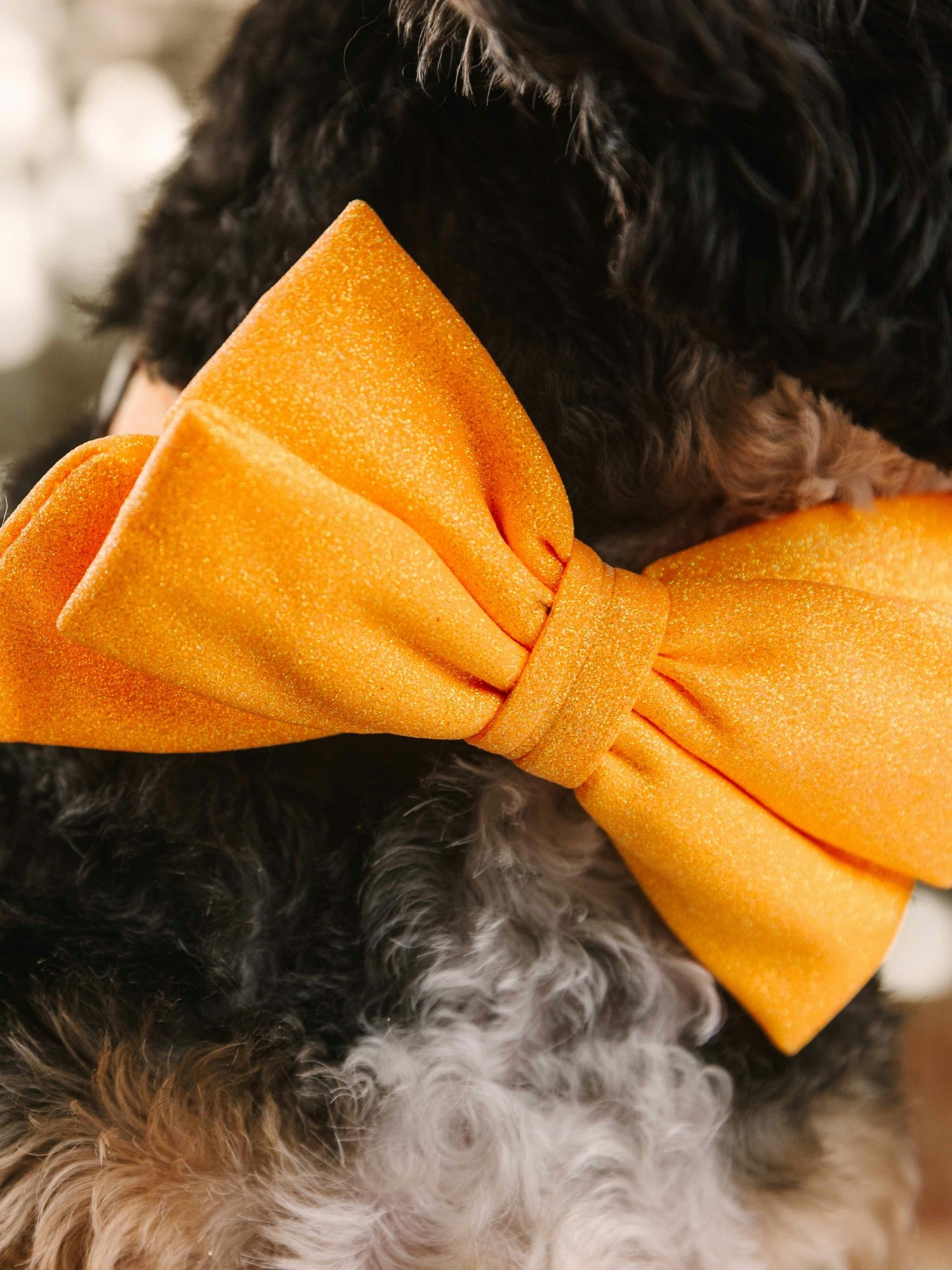 Glitter Dog Babe Bow | Gap